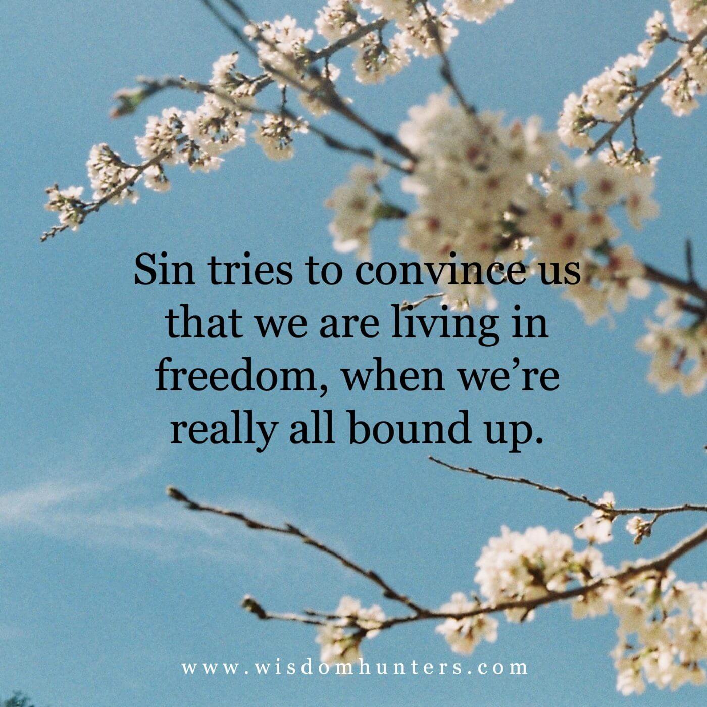 Can You Really Get Free from Sin? - Wisdom Hunters