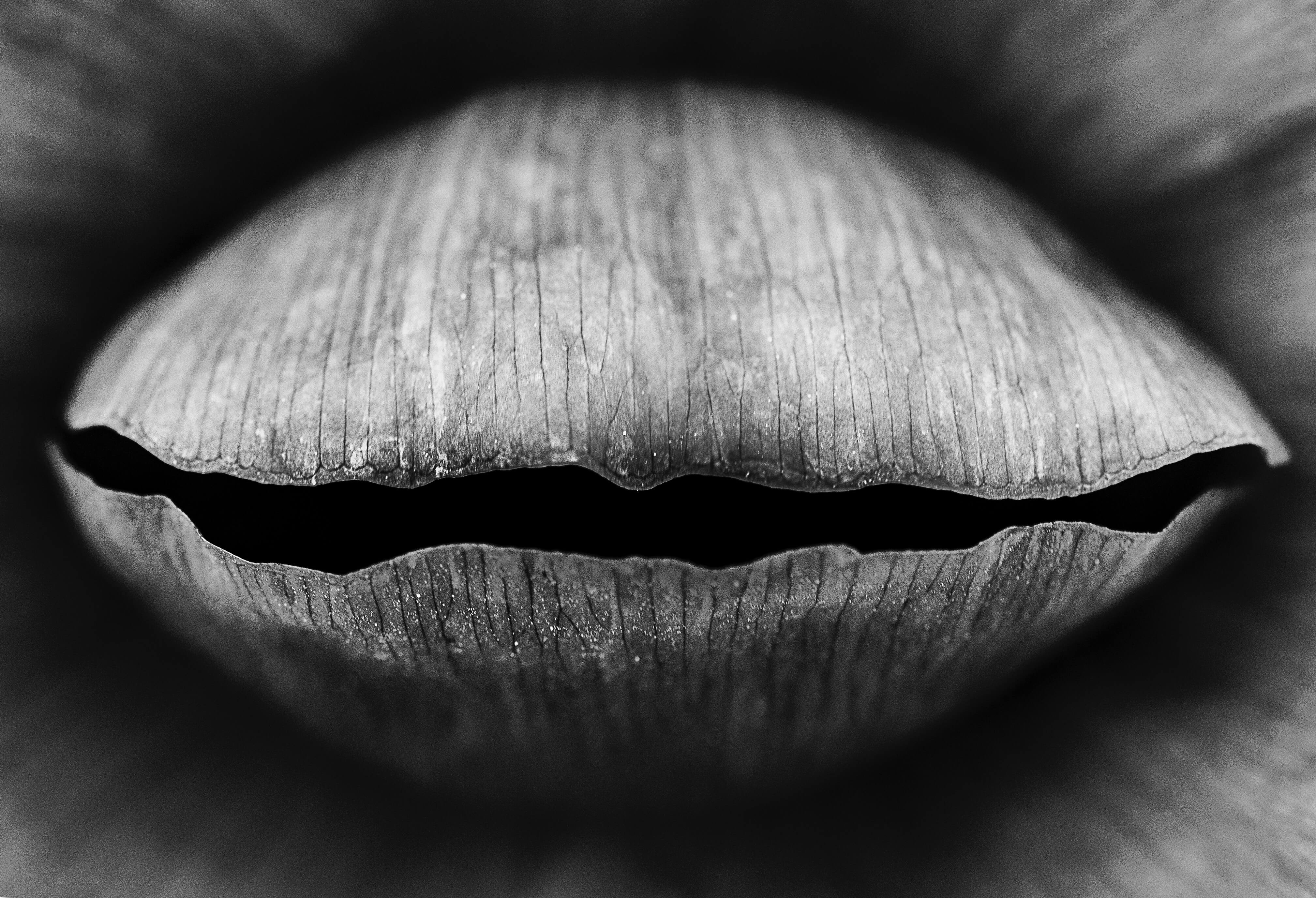 salmen-bejaoui-1094292-unsplash - Wisdom Hunters salmen-bejaoui-1094292-unsplash - Wisdom Hunters