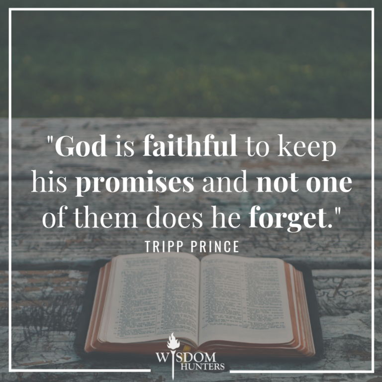 Scripture Fulfilled - Wisdom Hunters