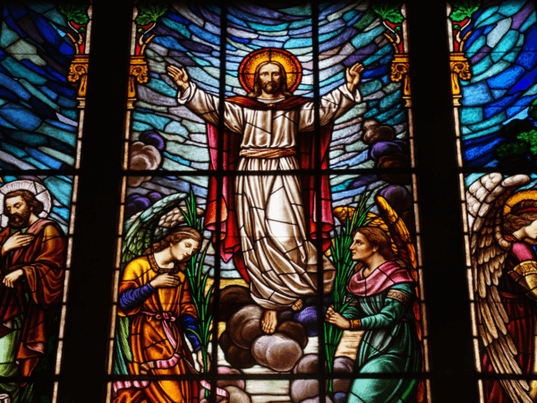 Devotionals to Help in Daily Life | Wisdom Hunters Daily Devotionals