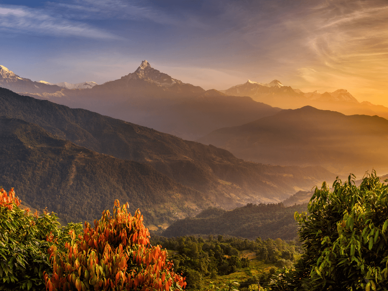 Jehovah Jireh – The Lord Our Provider - Wisdom Hunters
