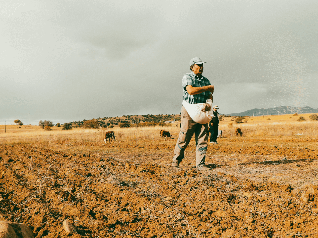 Generous Sowing of God’s Word - Wisdom Hunters