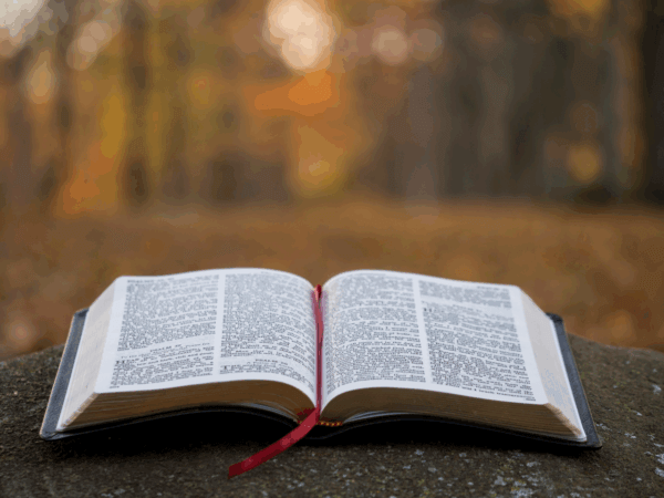 Daily Devotion Archives - Wisdom Hunters