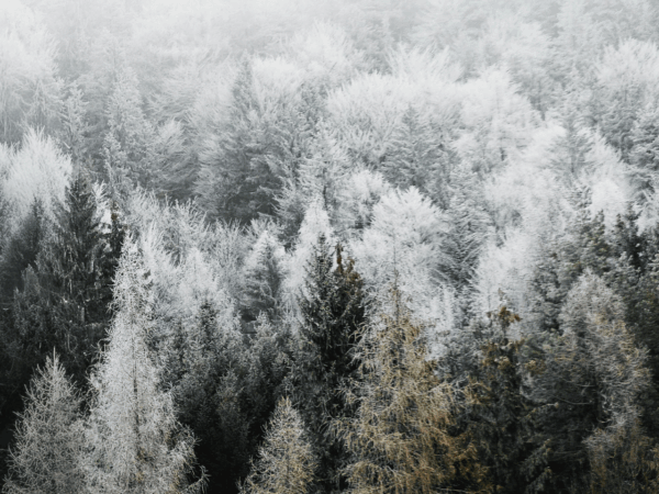 Your God-given Assignment Matters - Wisdom Hunters