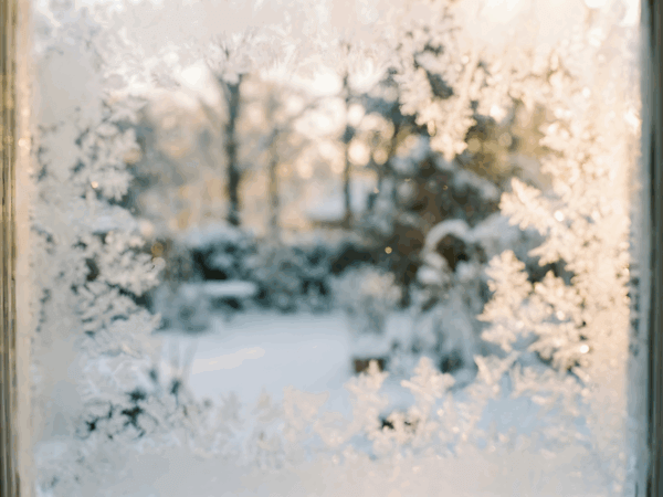 Counting Treasure - Wisdom Hunters