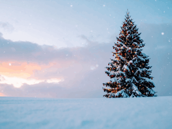 Devotionals to Help in Daily Life | Wisdom Hunters Daily Devotionals