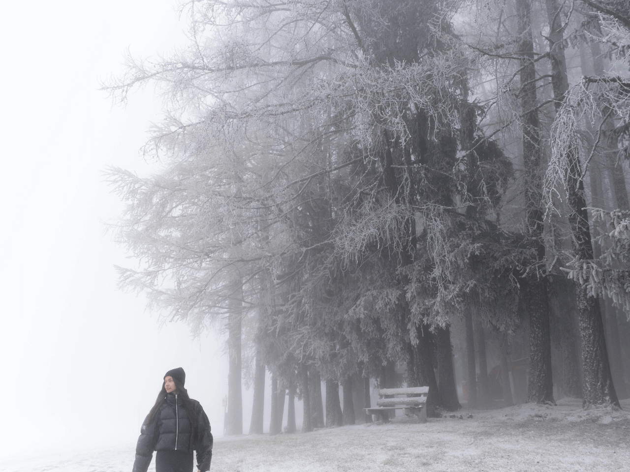 Fullness of Joy - Wisdom Hunters